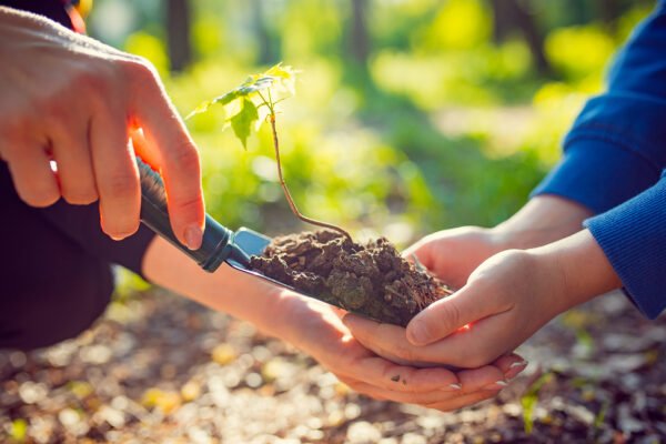 Eco Collaboration - The Ashwath Sumana Trust